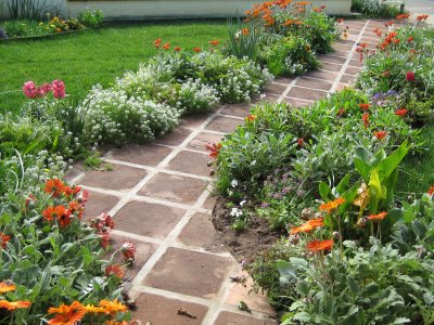Home And Garden : Flowers along path and walkway