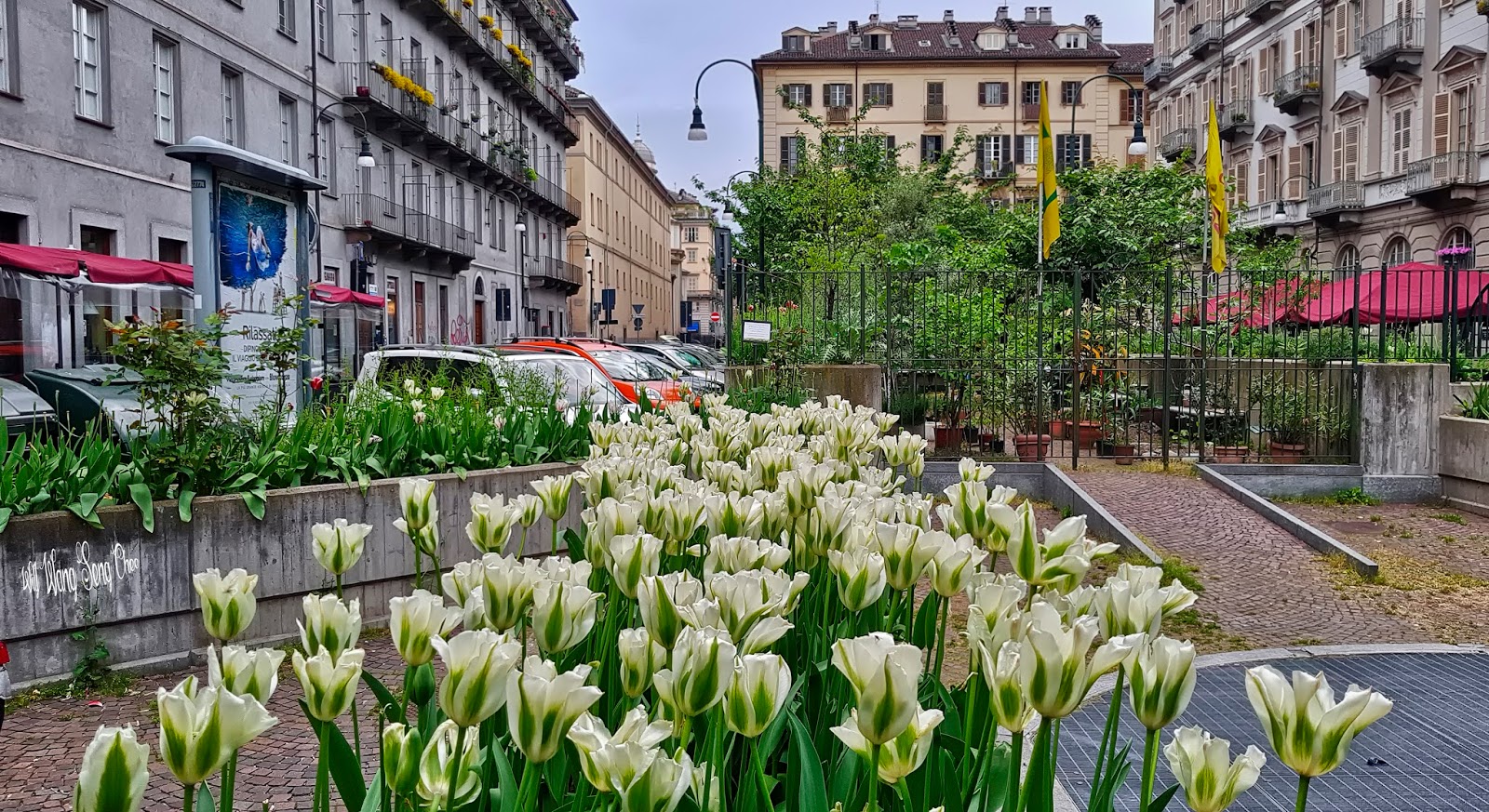 Torino In My eyes: Tulips In Torino
