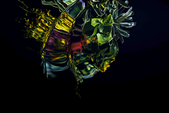 paradis express: Makoto Azuma