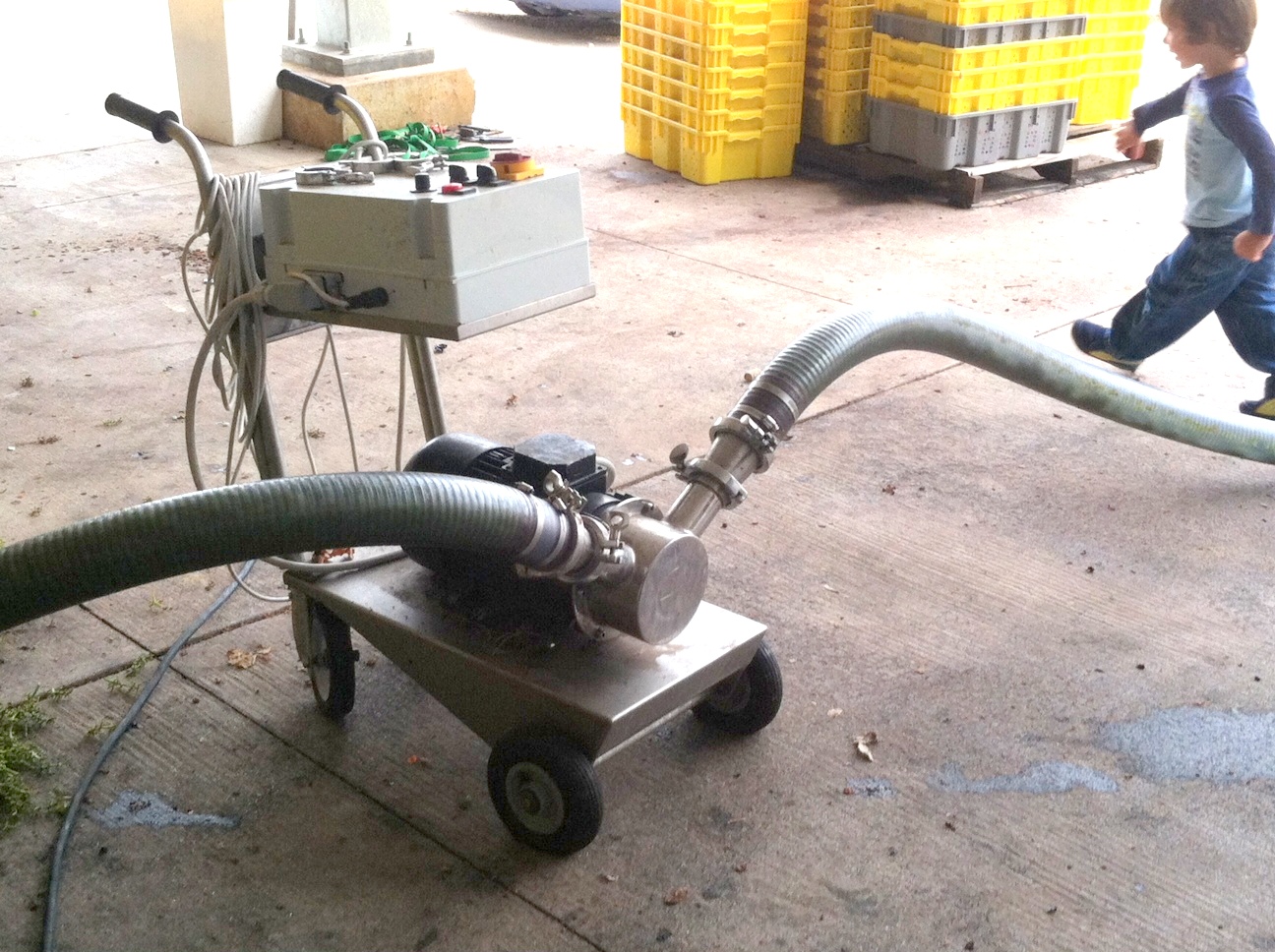 Four Daughters Vineyard & Winery: How to press grapes and start making ...