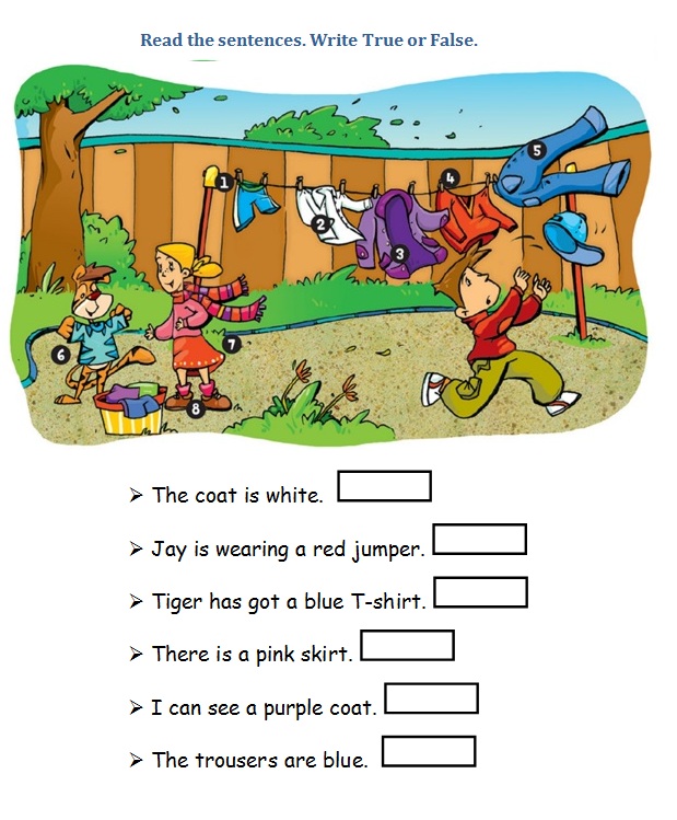 Seneca School - Year 1-2 - Science / English: English - Clothes - True ...