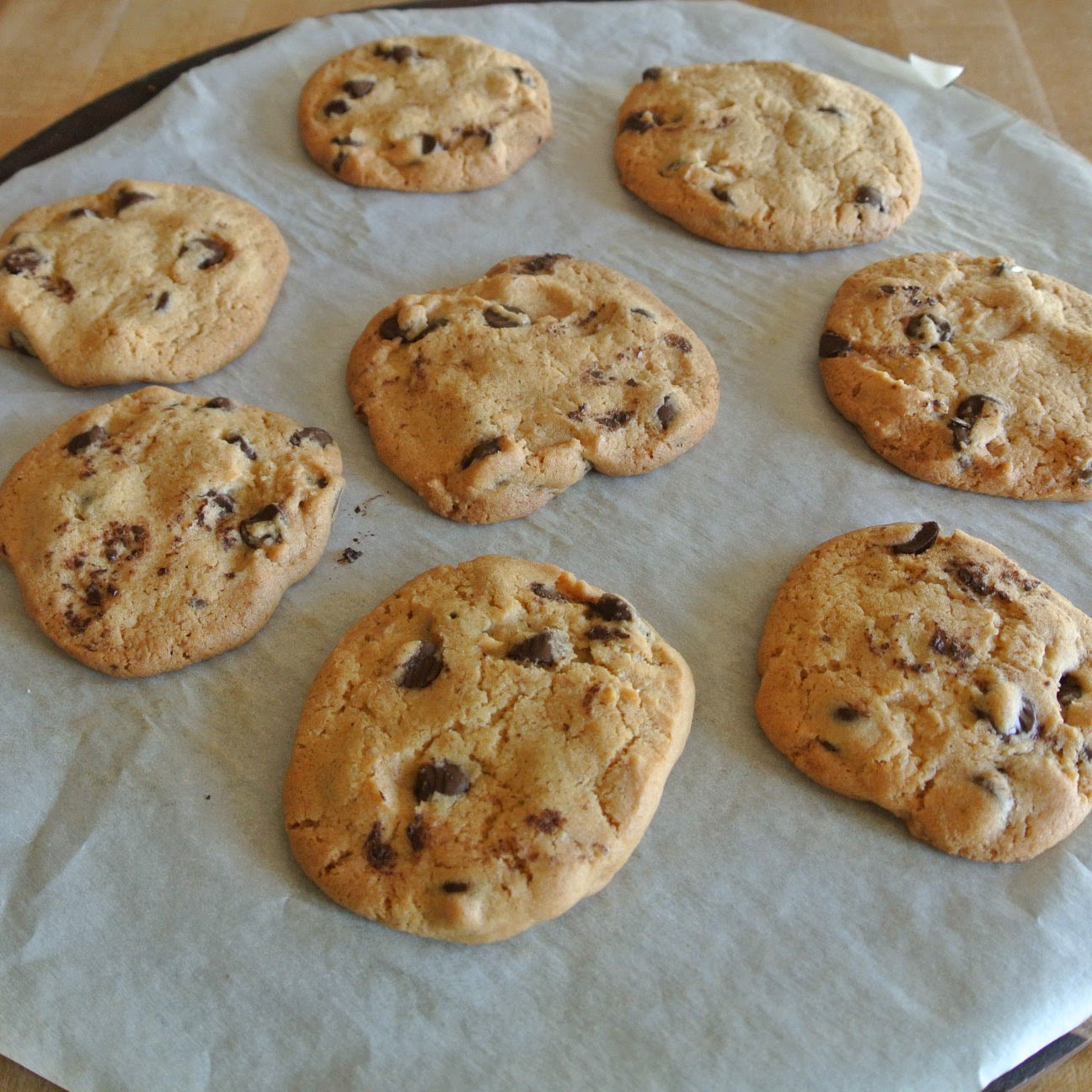 Gourmet Cooking For Two: Dark Chocolate Chip Cookies