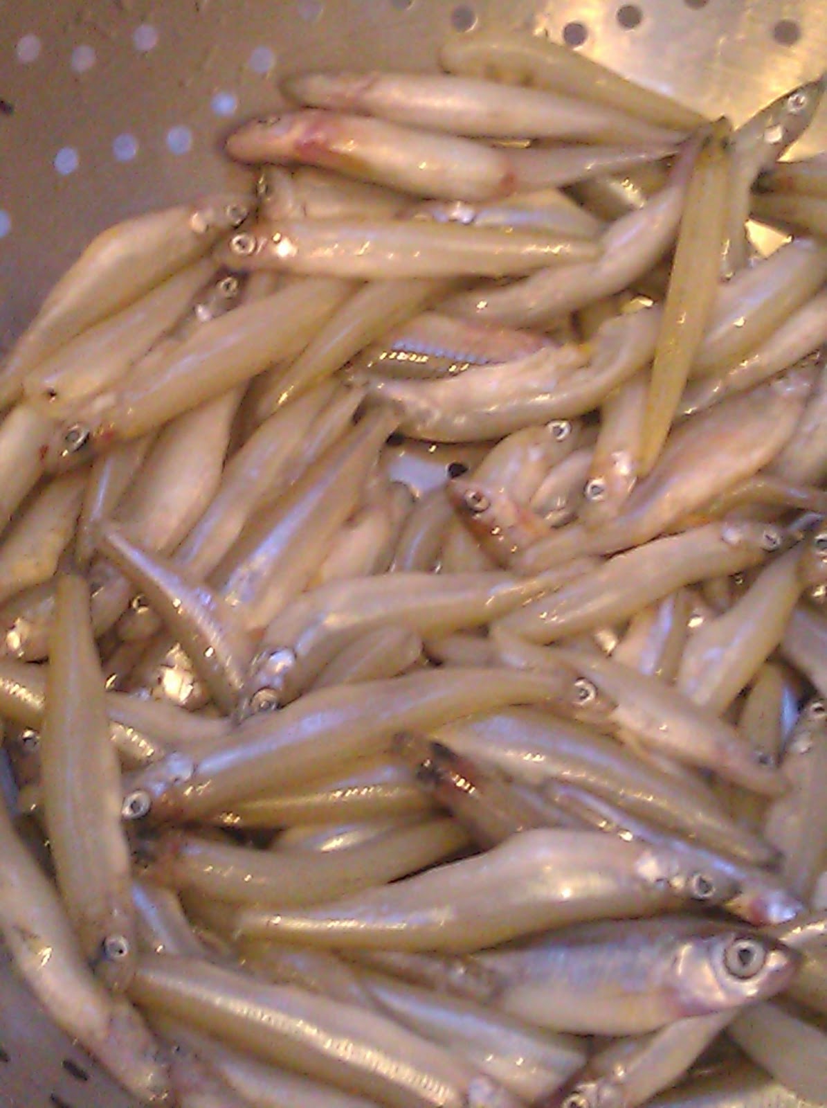 A Strange Pantheon: #79 Traditional Fingerfish