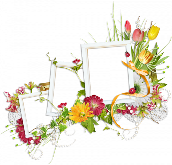 ForgetMeNot: Cluster spring frames