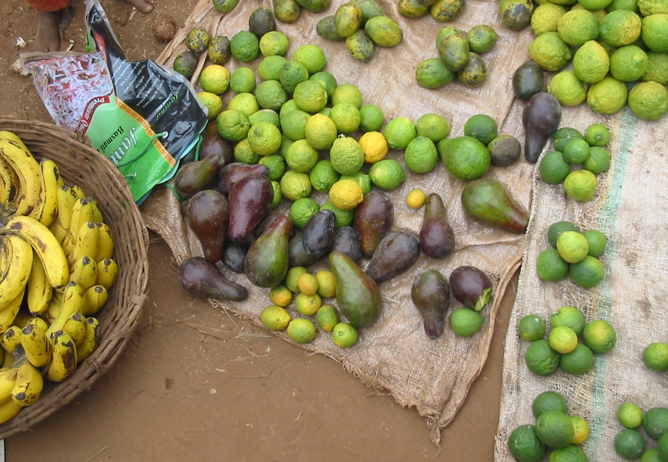 Rwanda on the Wing: Eating lower on the food chain