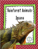 God Makes the Animals in the Rainforest | Bible Fun For Kids