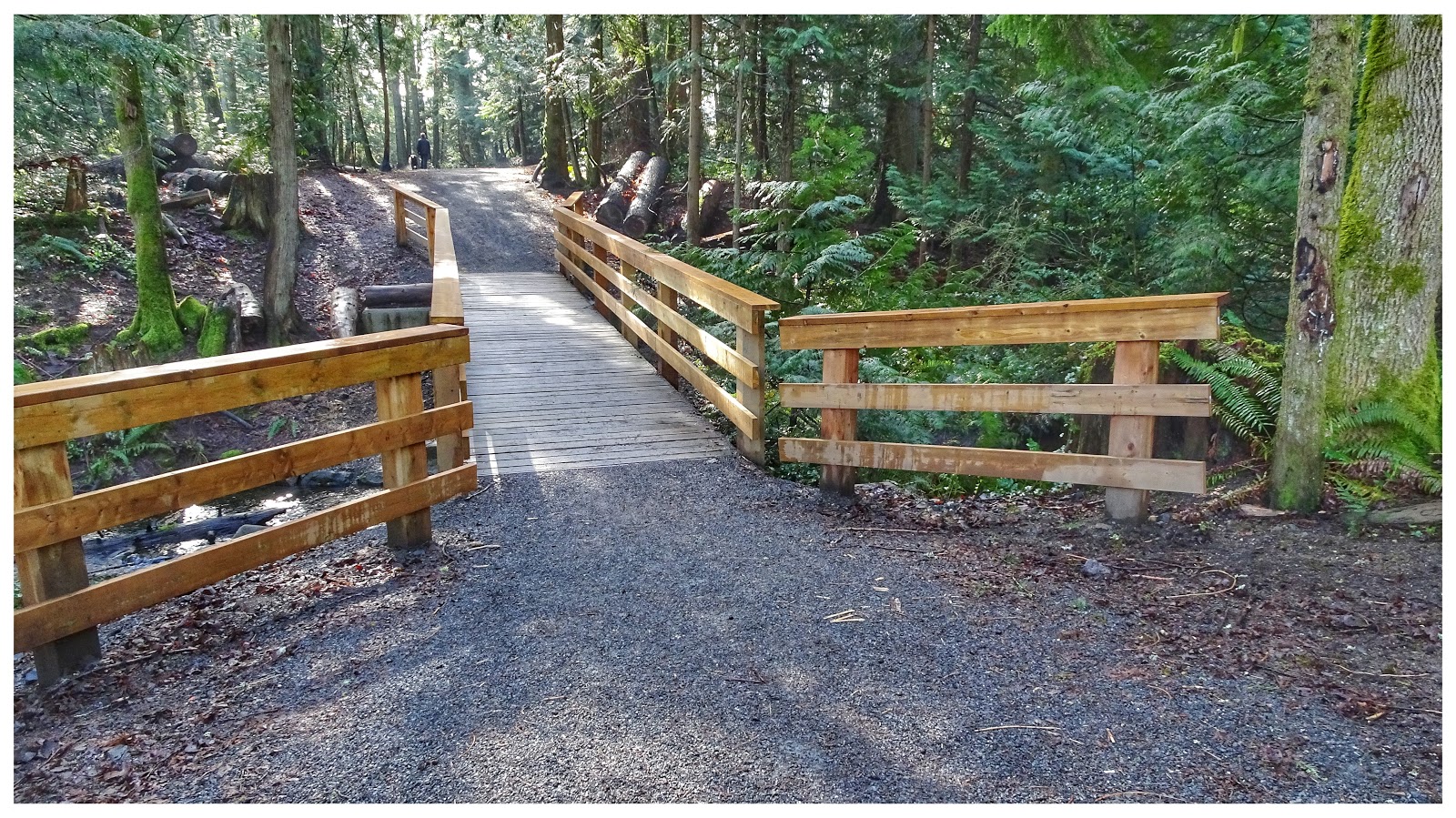 20+ Parks in Nanaimo: Colliery Dam