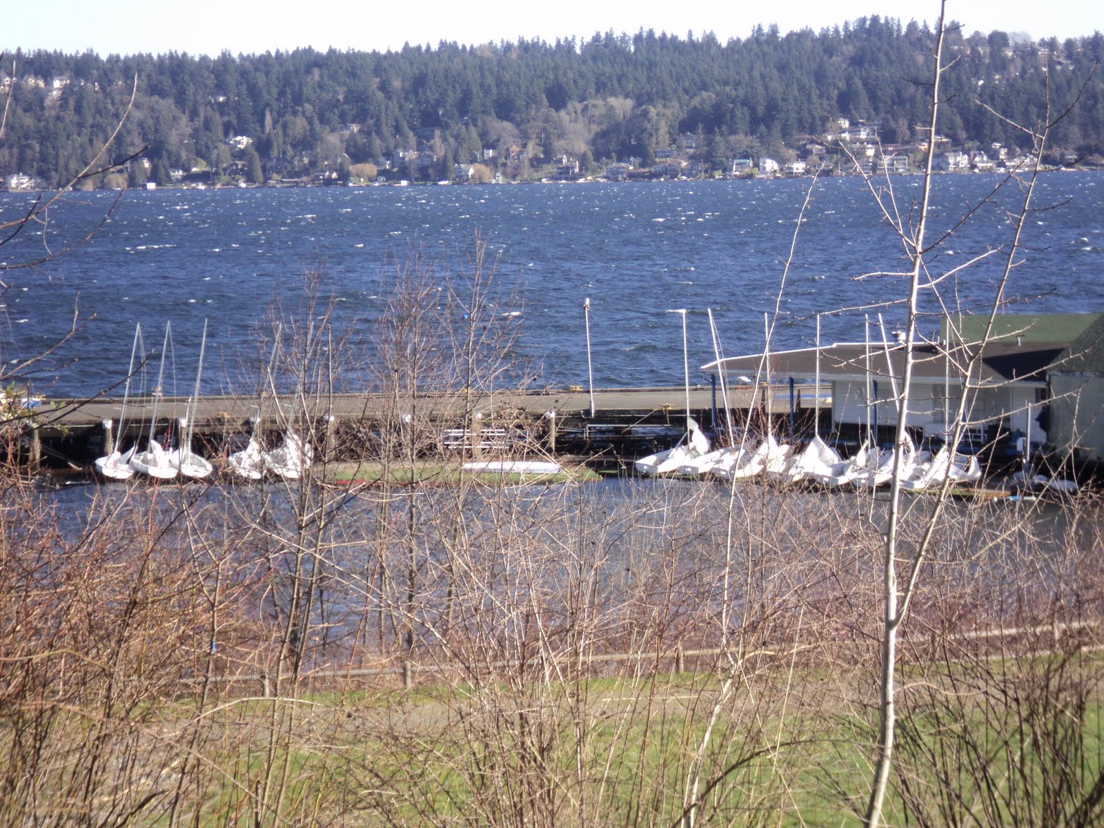 Walking Seattle Neighborhoods: Sandpoint