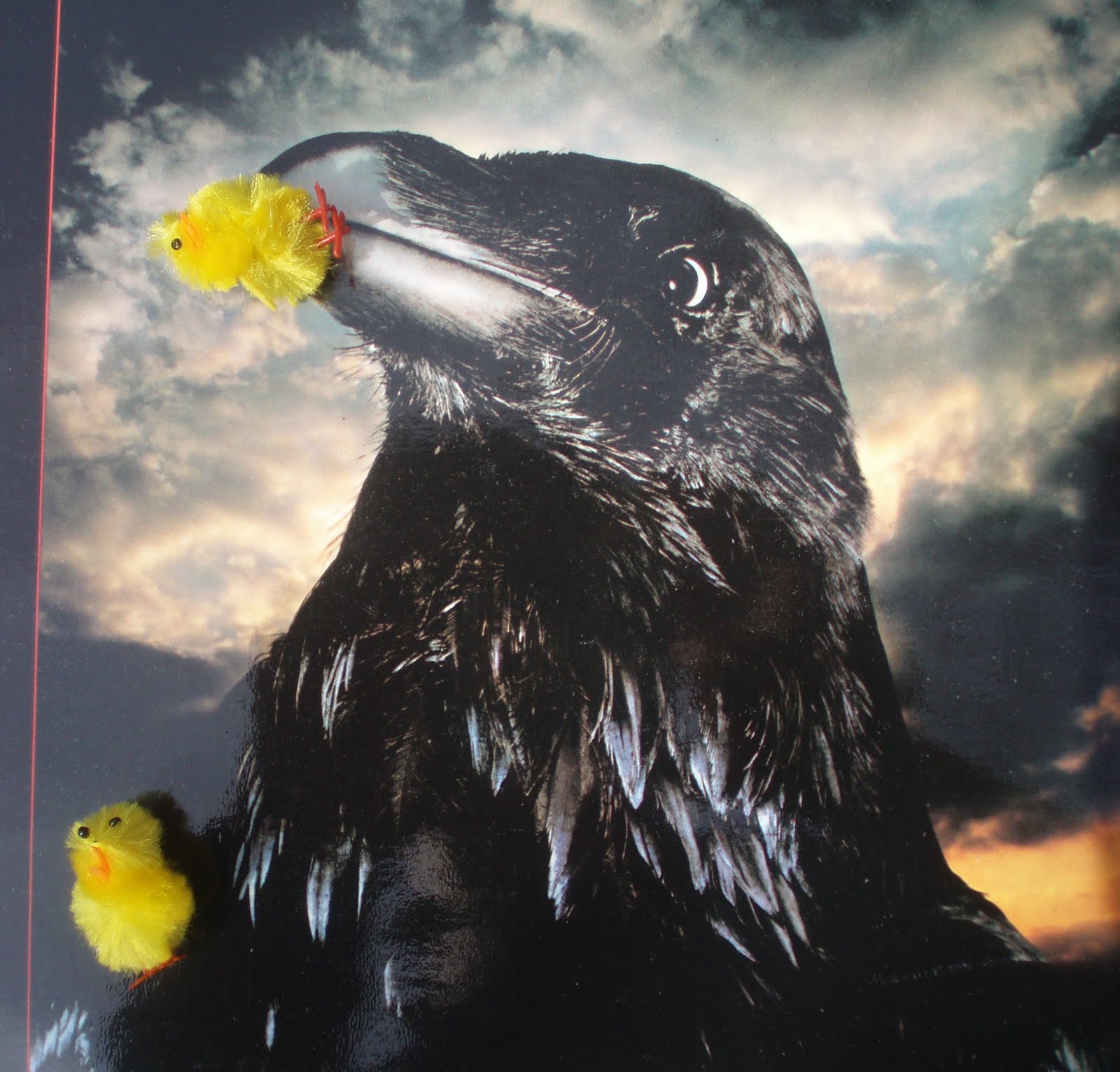 Pleasure City Avenue: Easter Chick Adventures: Raven, I'm Raven
