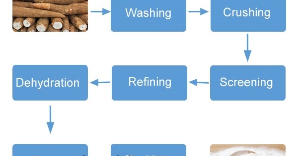 Cassava starch manufacturing process