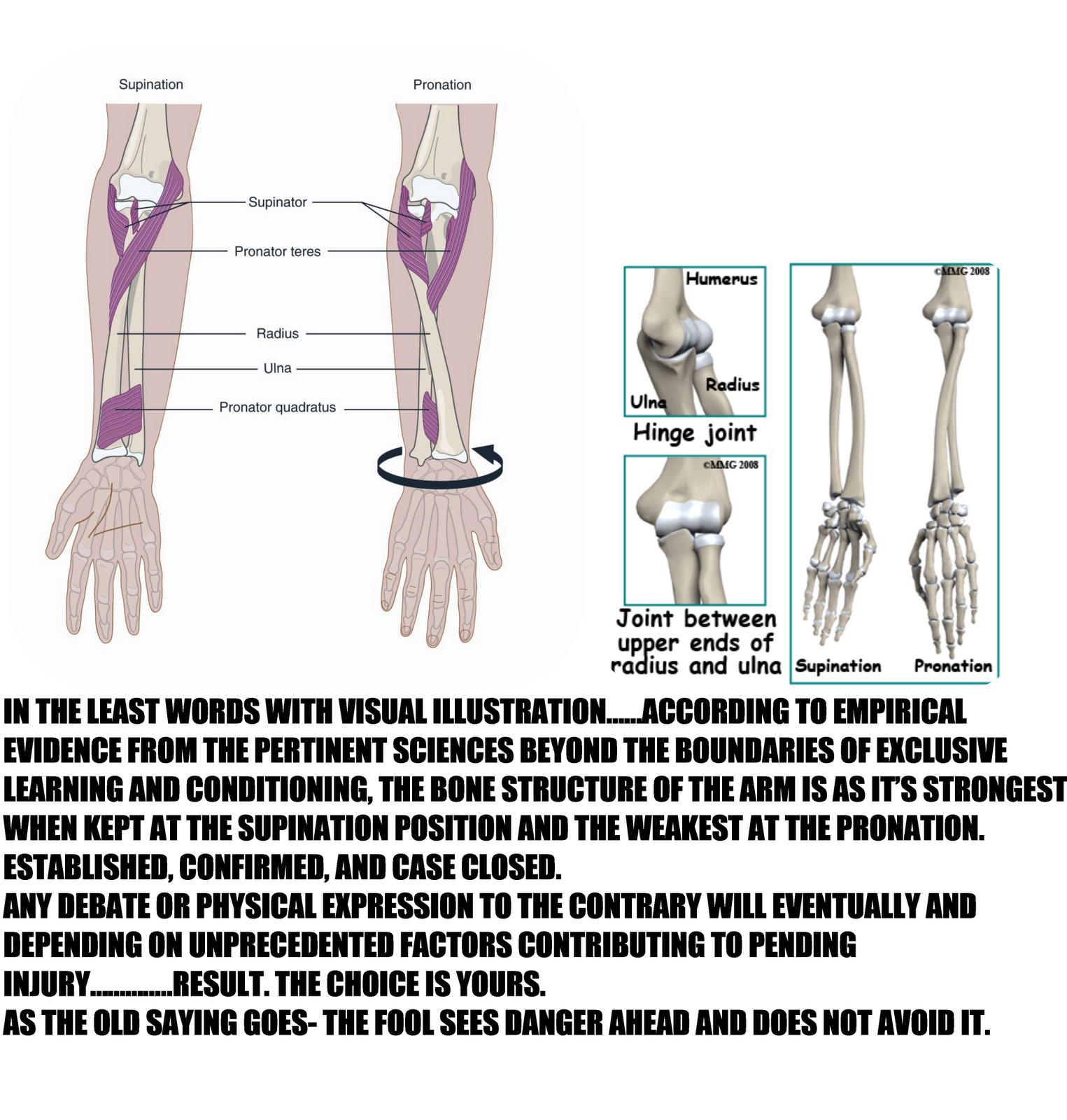 Pronation And Supination Of The Forearm Pronation And Tao of Freddie's ...