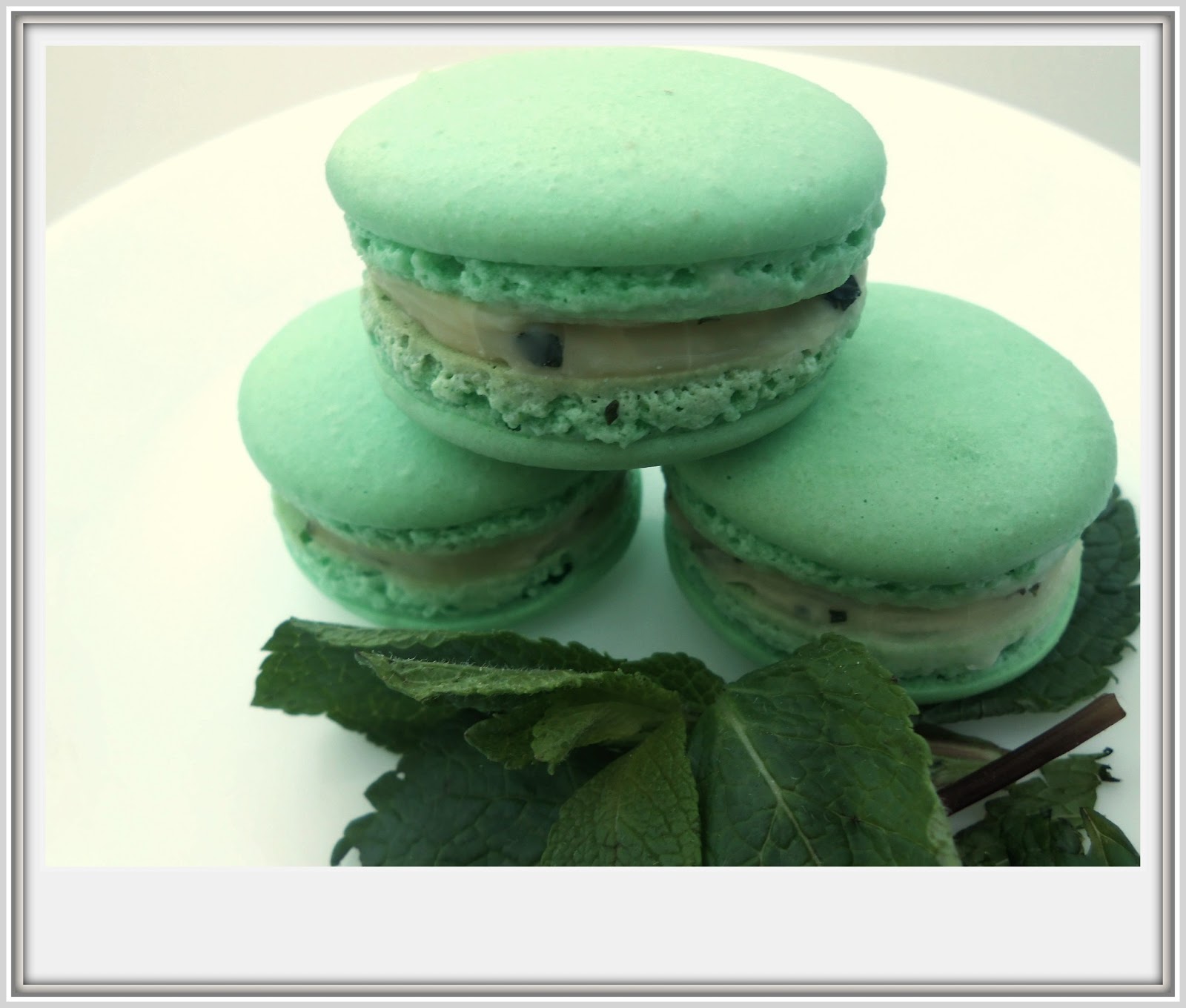 Legally Sweet Macaron Boutique: French Macarons - Fresh Mint