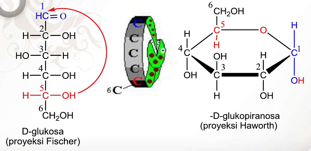 KIMIA ORGANIK: TUGAS MANDIRI 6 KIMIA ORGANIK II