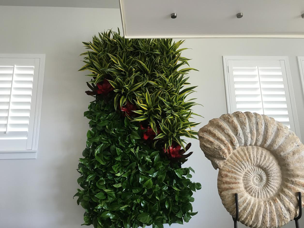 Interior & Exterior Environment Designs: GREEN WALLS: HOW TO REALLY ...