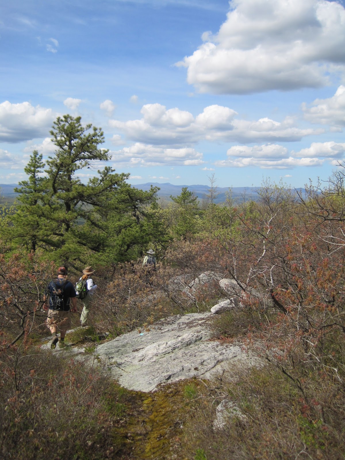 Hiking: The Northern Shawangunk Ridge Trail | Shawangunk Ridge ...