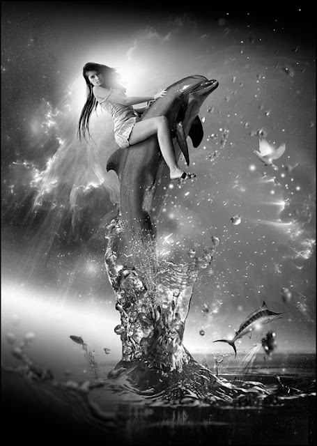 PHOTO PORTER: Amazing Graphic Designs from Pete Harrison ,amazing ...