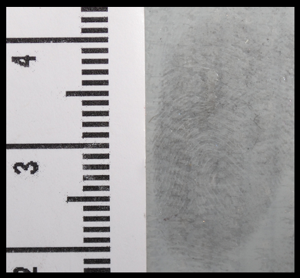 Latent Fingerprint Development Techniques: Sticky-Side Powder (SSP)
