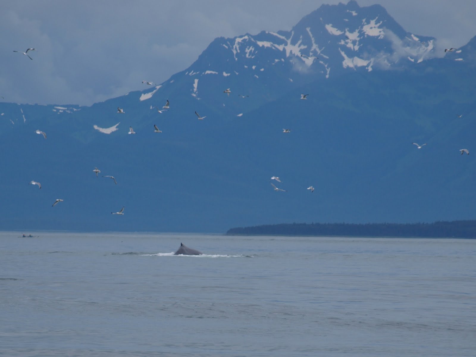 Lucky Alaska: 16. Juli