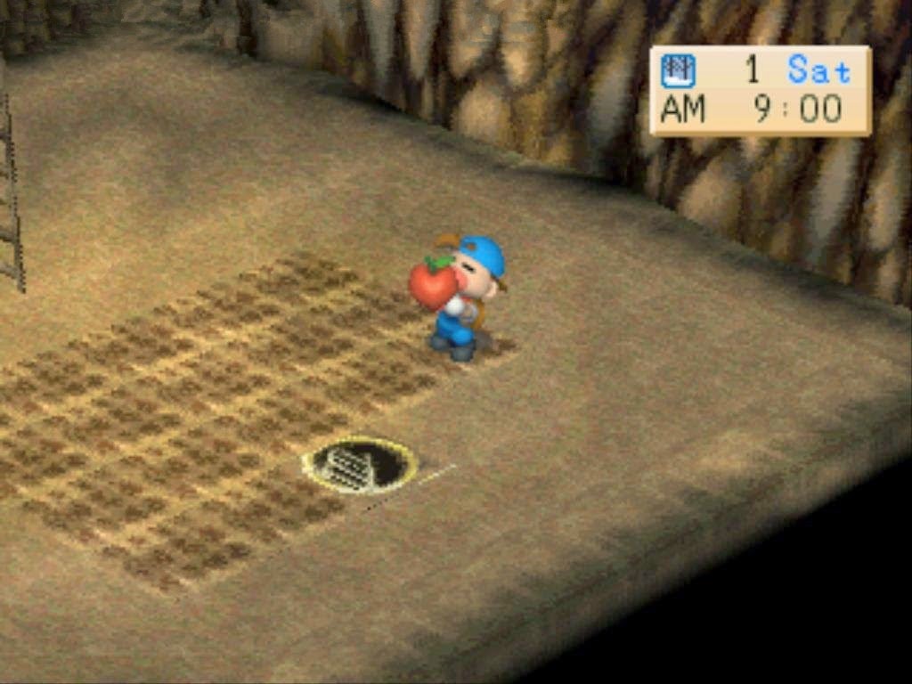 Tempat dan Cara Mendapatkan 10 Power Berry + 1 Special Berry di Harvest ...