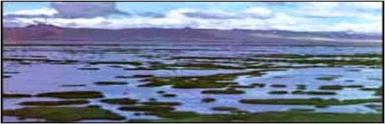 turismo en PERU - tourism PERU: LAGO JUNIN - PERU