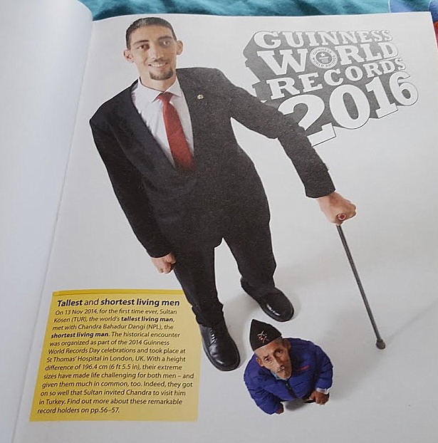 The Brick Castle: Guinness World Records 2016 and the GWR Gamer's ...