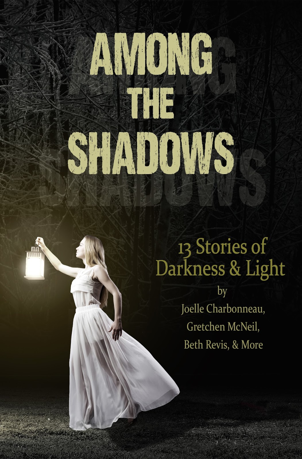 Rockstar Book Tours: Tour Announcement: AMONG THE SHADOWS: 13 STORIES ...