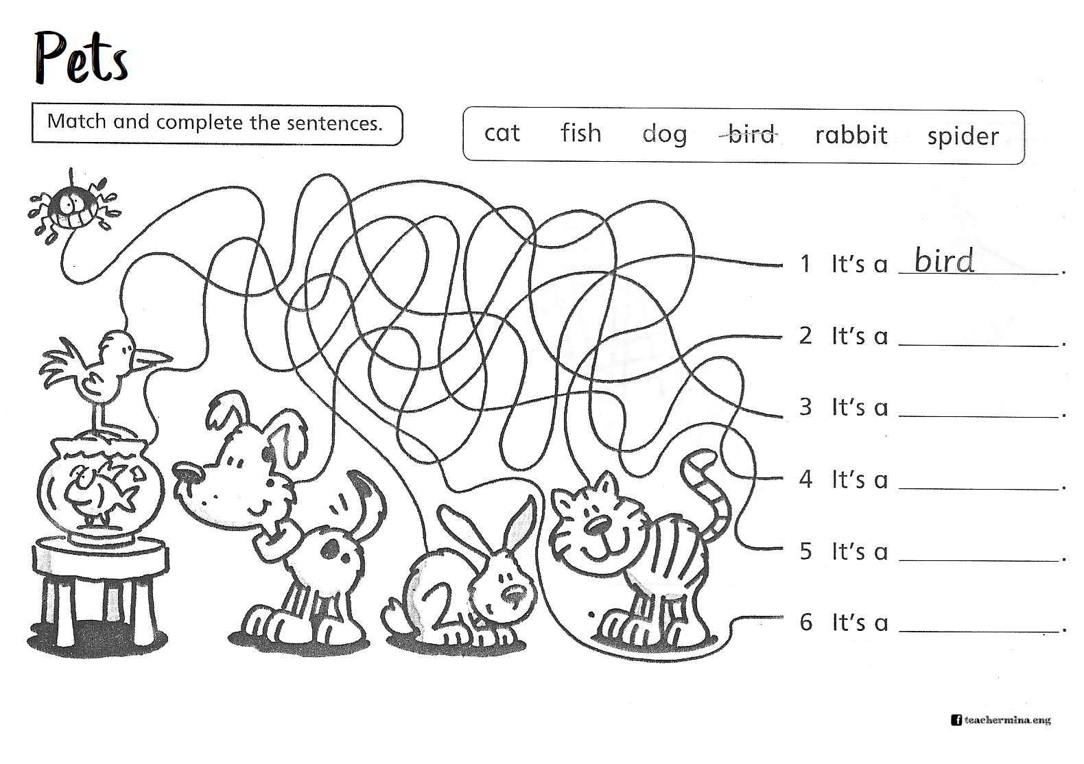 Teachermina activities Pets teachermina-activities-pets