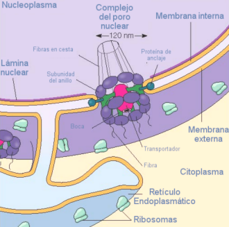 bioesfera: Novembro 2011