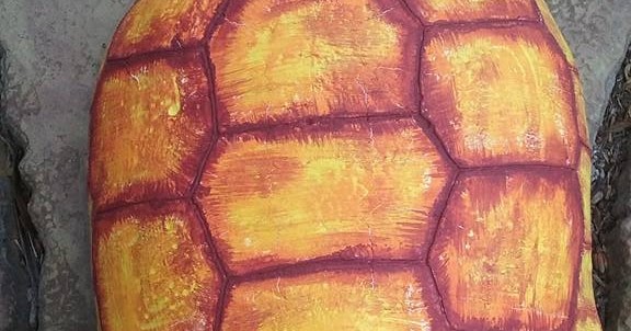 The Many Hats of M.E.L.: Painted Turtle Shell!