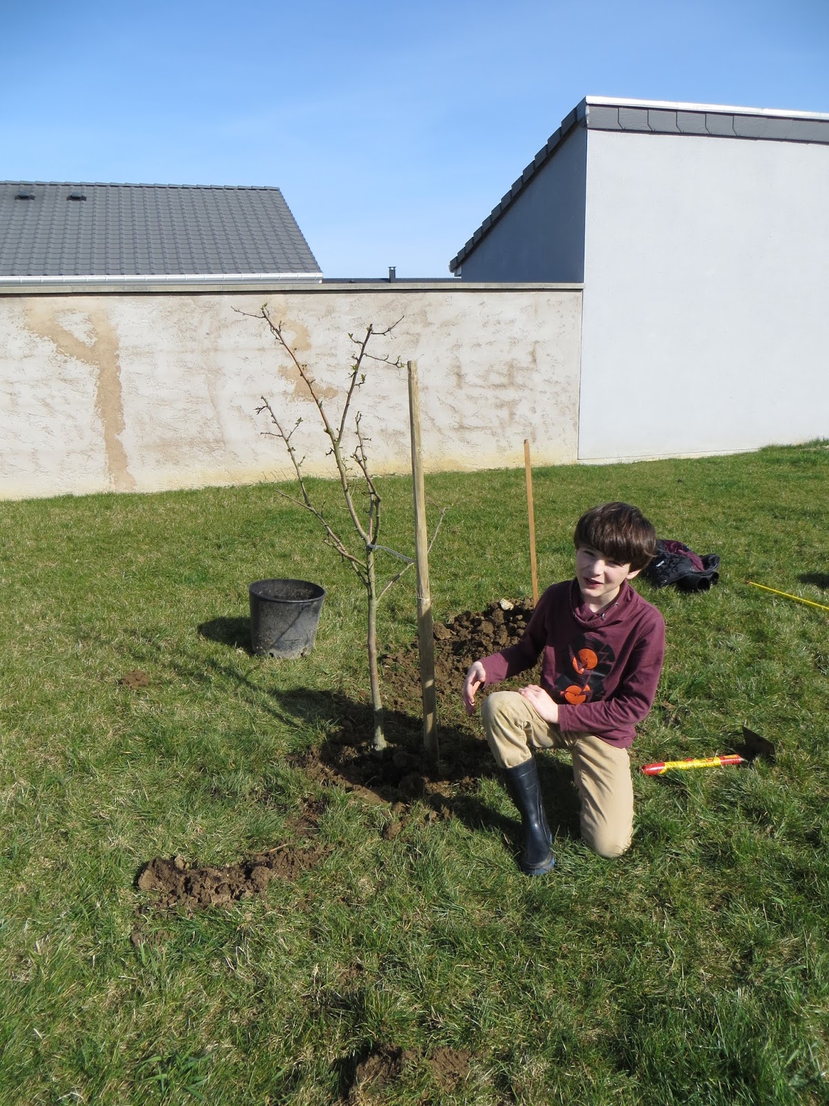 éco-école de Volstroff: Planter des arbres...