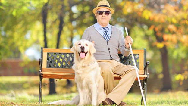 como ayudar a una persona ciega