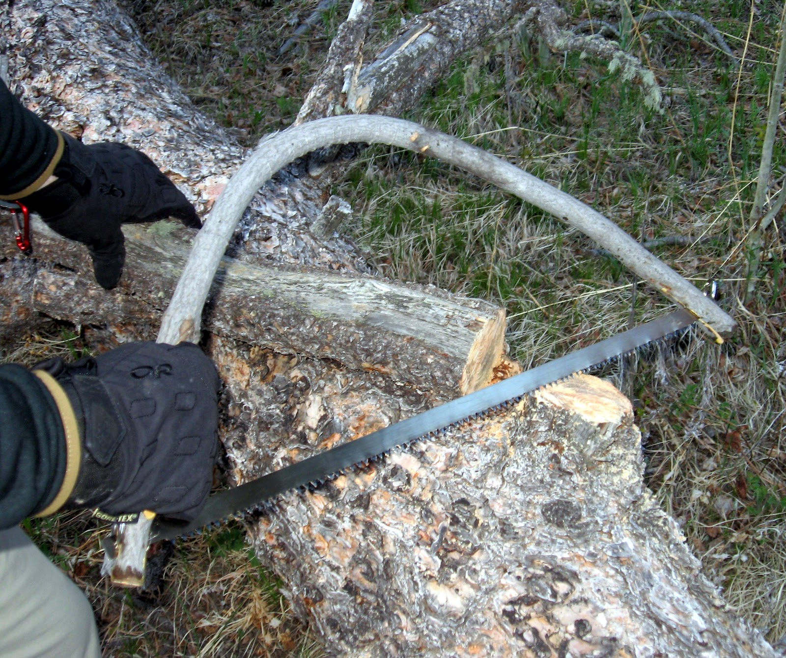 Rocky Mountain Bushcraft: How to Build a Primitive Bow Saw in the ...