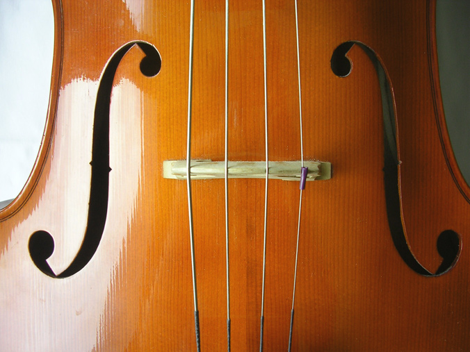 Partes del Violonchelo.