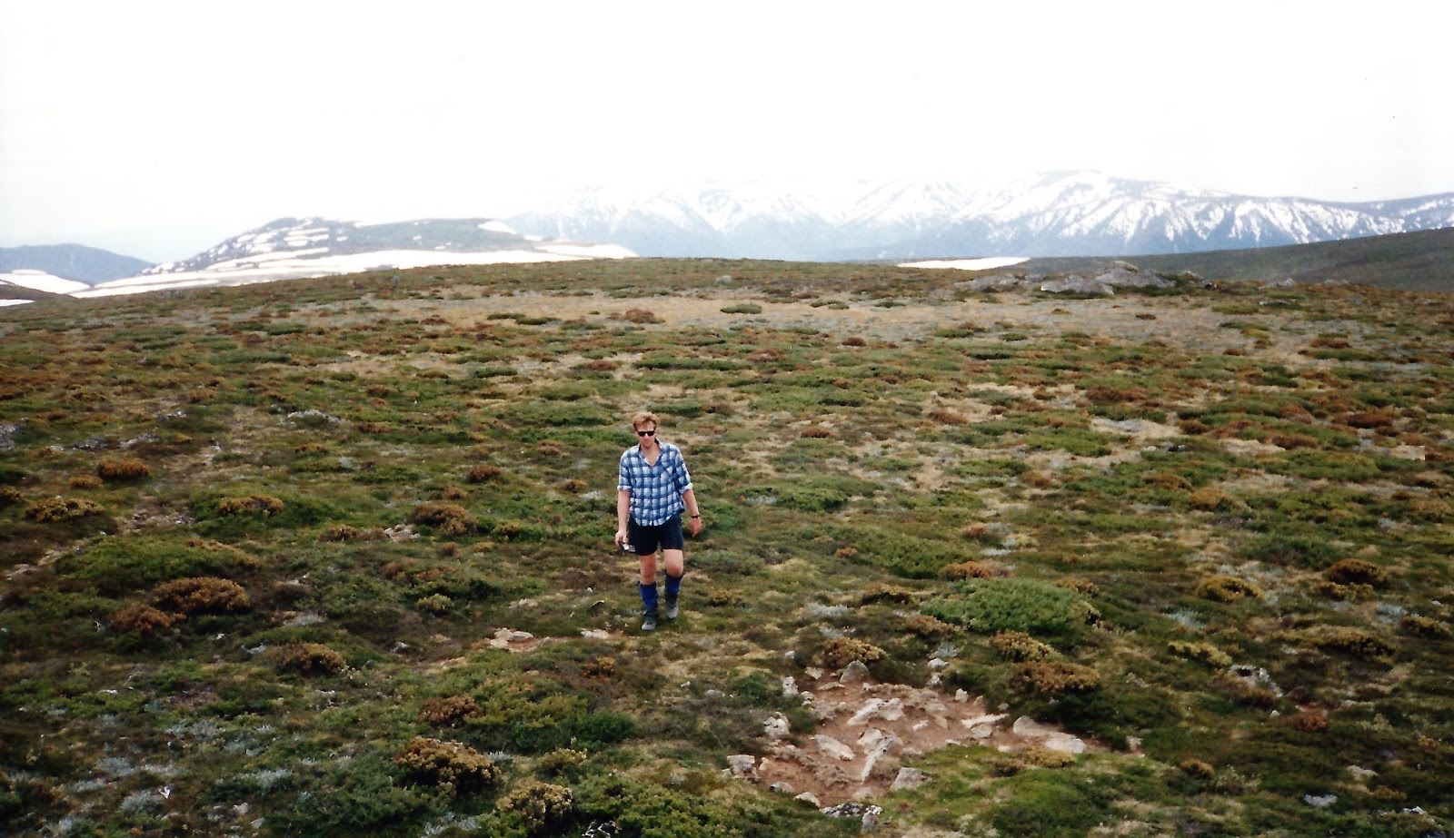 Goin' Feral One Day At A Time: Mount Hotham to Mount Bogong, Alpine ...