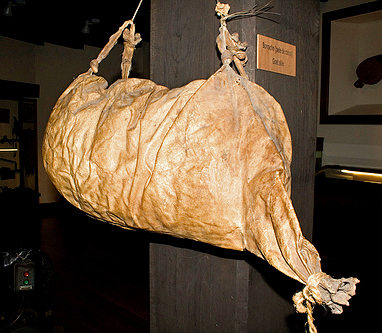 AMO DEL CASTILLO: Castigos romanos: POENA CULLEI