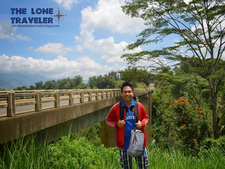 THE LONE TRAVELER: 2013