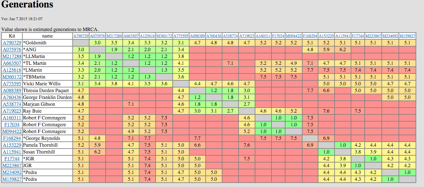 My Genealogy Blog: Generational matrix