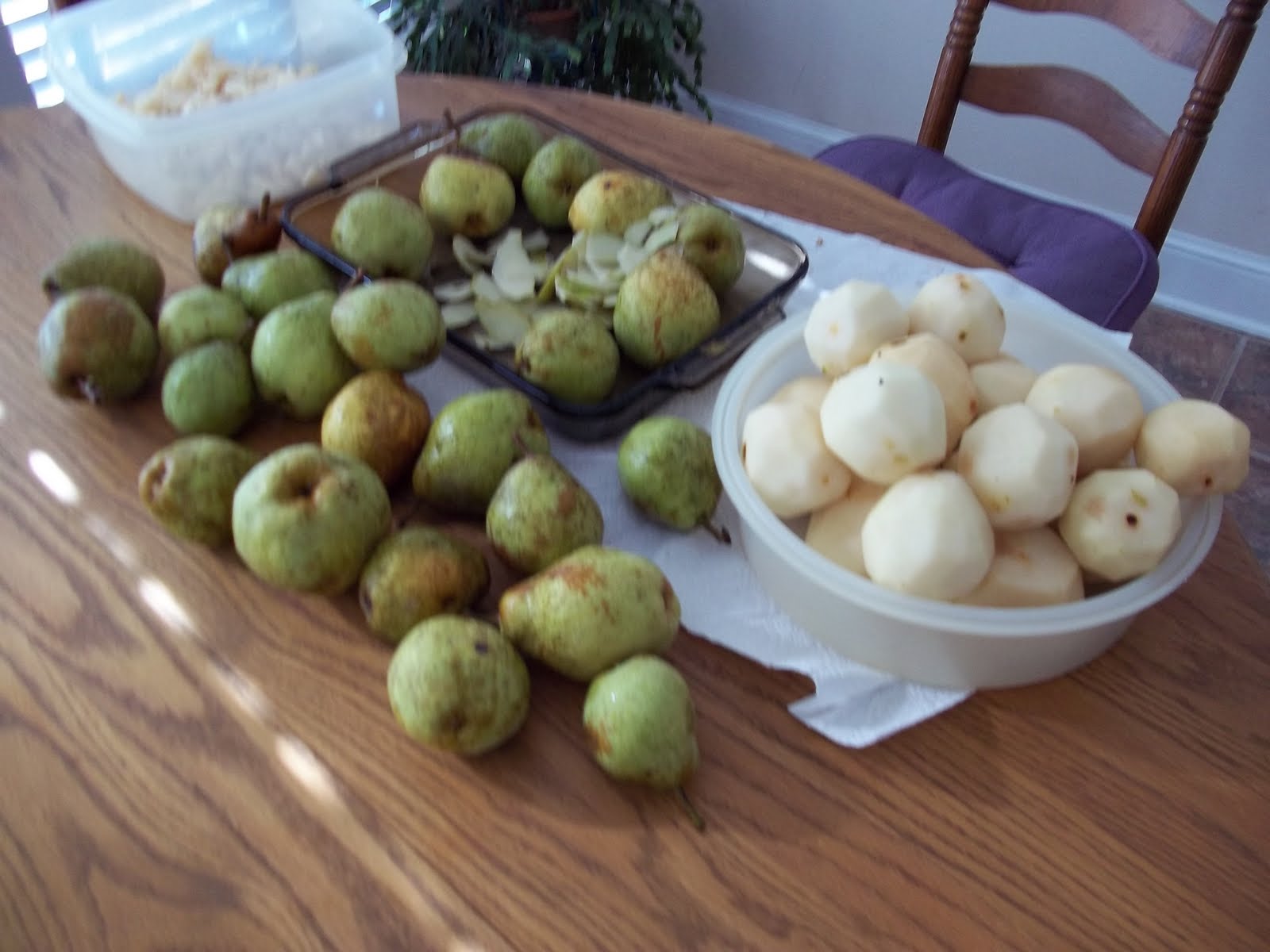 Waters In Tennessee: Debby's Homemade Pear Preserves