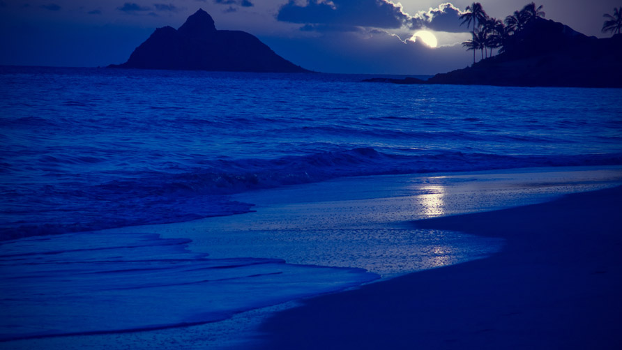 Jean Darnell: Awaken Librarian!: Emily's Blue Period & the Power of ...