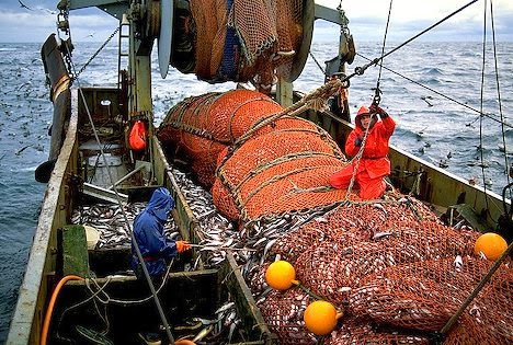 Overfishing and the Survival of Us.