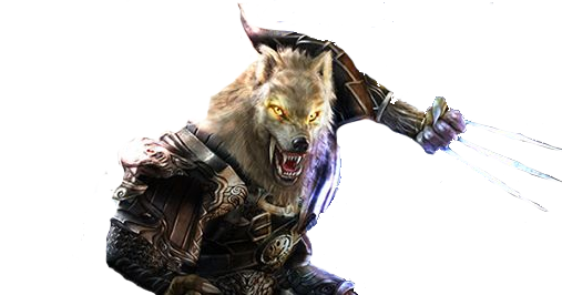 Metin2 Dünyası: Metin2 - Lycan Karakteri