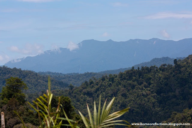 Borneo Reflections: A Round Trip to Tongod and Nabawan