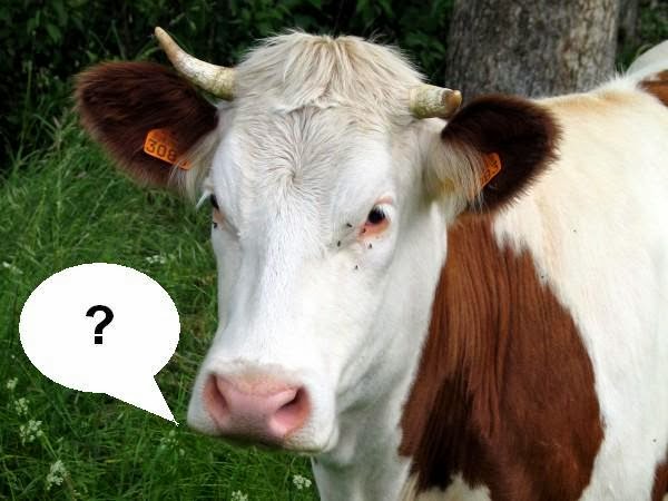 Le Fumoir: Les Rébus du Fumoir #2