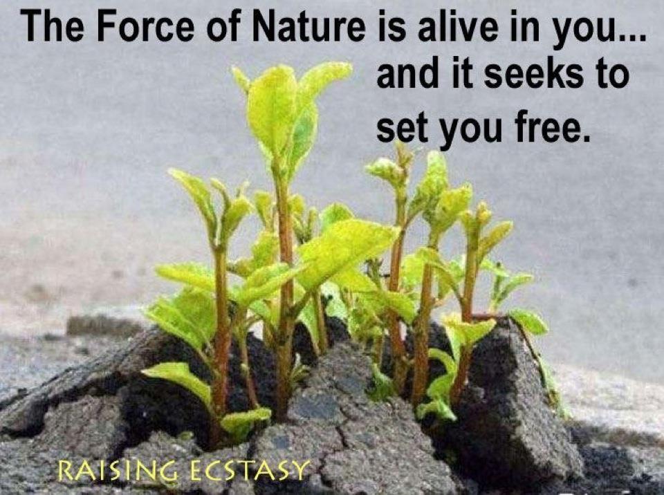 Be-Barefoot: Force of Nature is Alive in You..