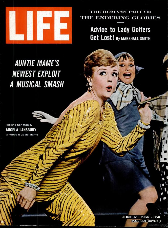 1966 My Favorite Year: Pop Life in 1966
