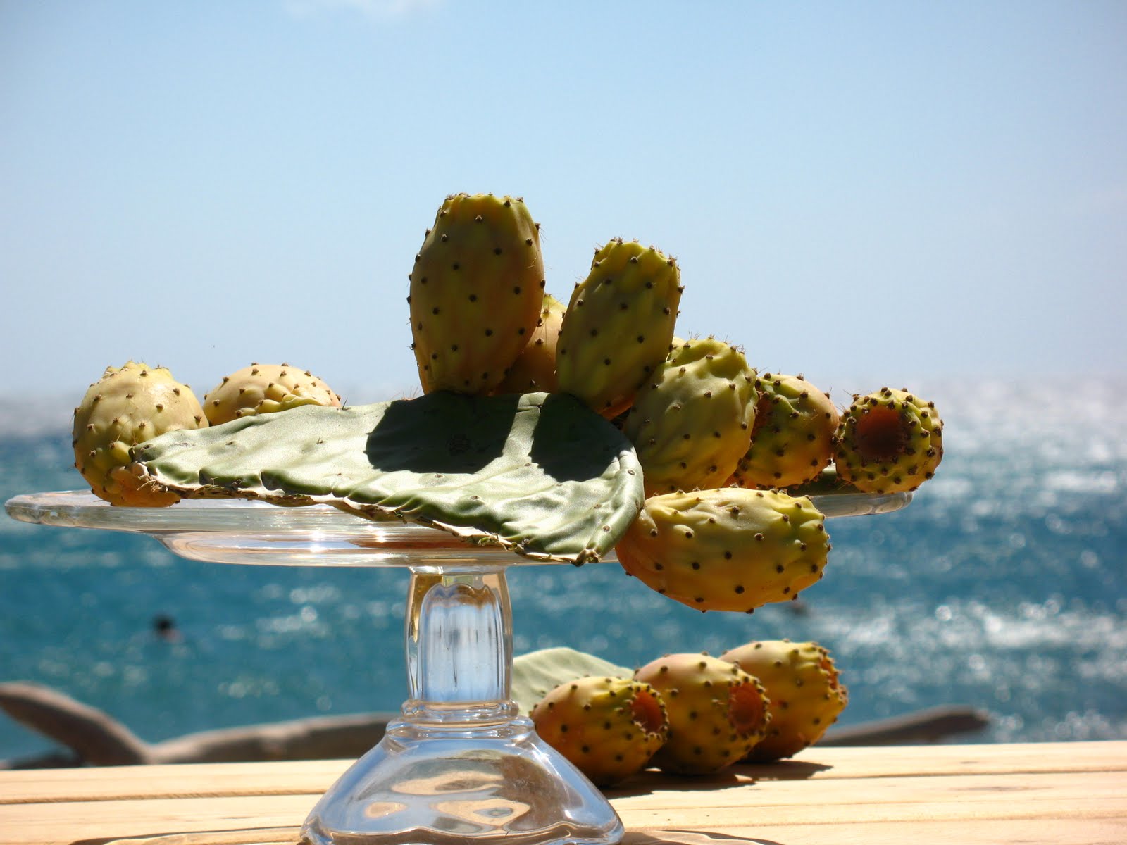 Jurnal de gradina: Fructe de cactus in soare