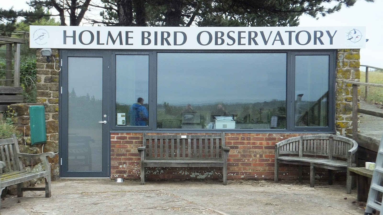 Penny's Hot Birding and Life!: Thank You from Holme Bird Observatory!