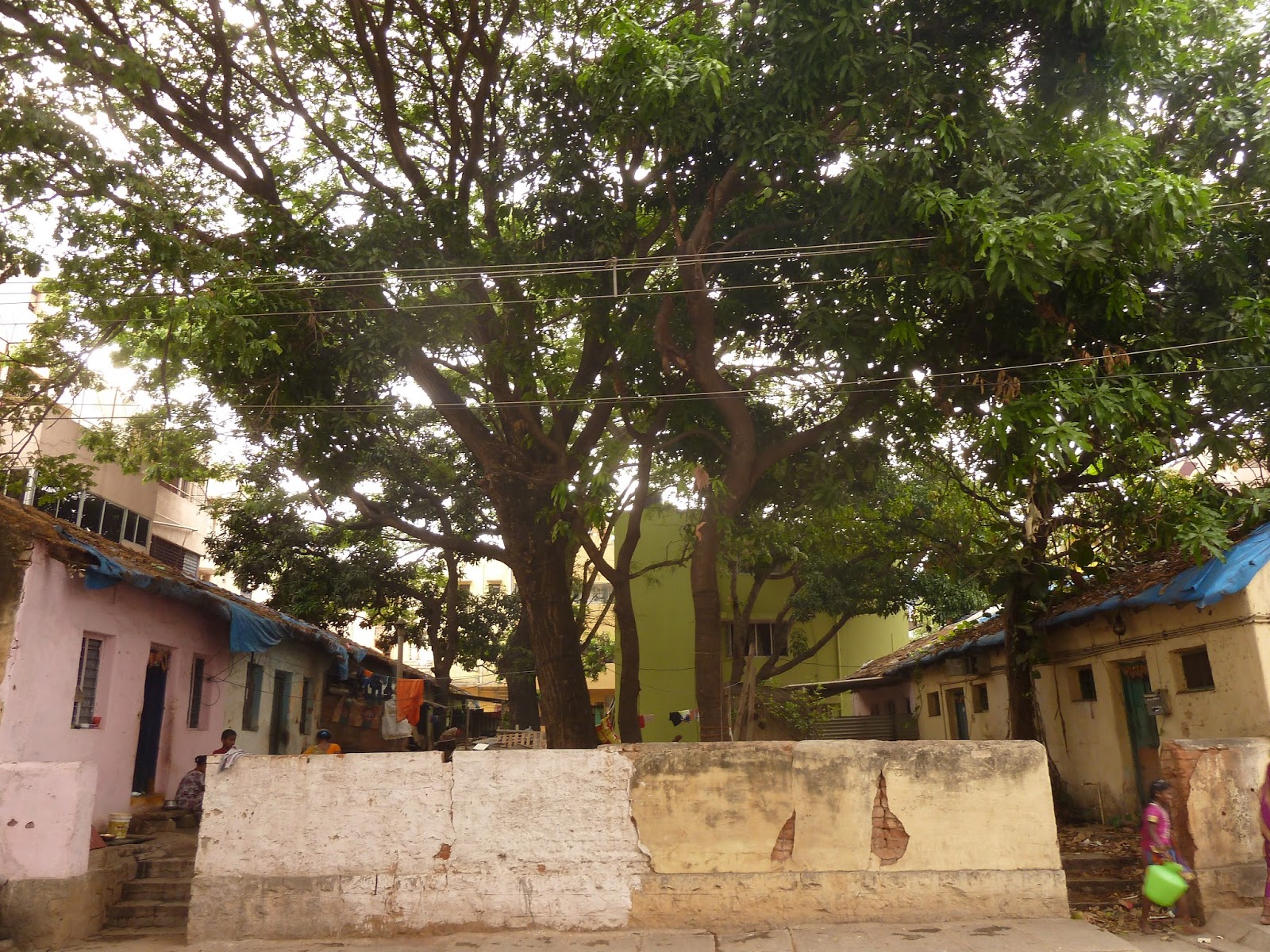 Cardigan Kannadiga in Canada: Vatarada Manegalu- Malleshwaram