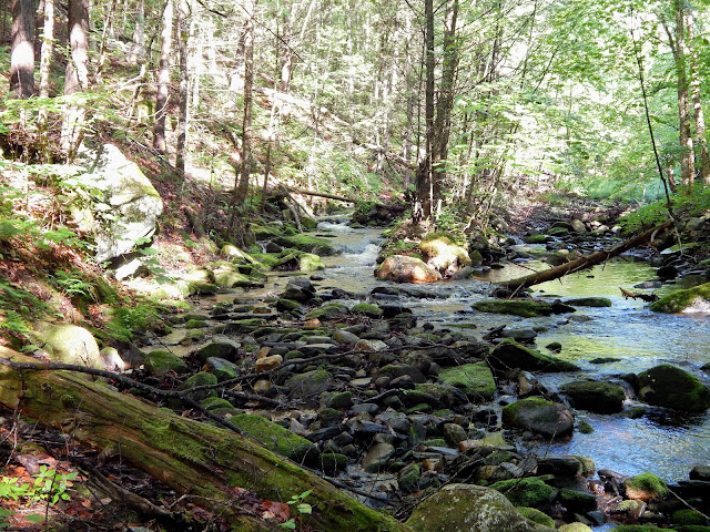 Small Stream Reflections: June 2015