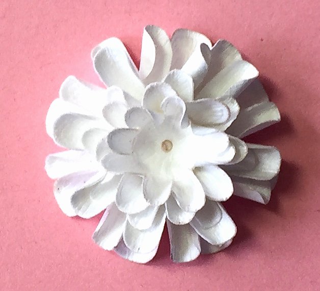 Kathy's Waffle: Cinch Flowers - Spellblogging for Spellbinders